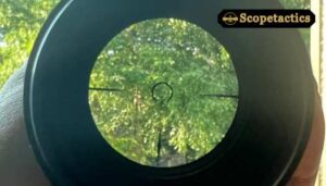 Monstrum Ladon 1-6x SFP LPVO Rifle Scope Review